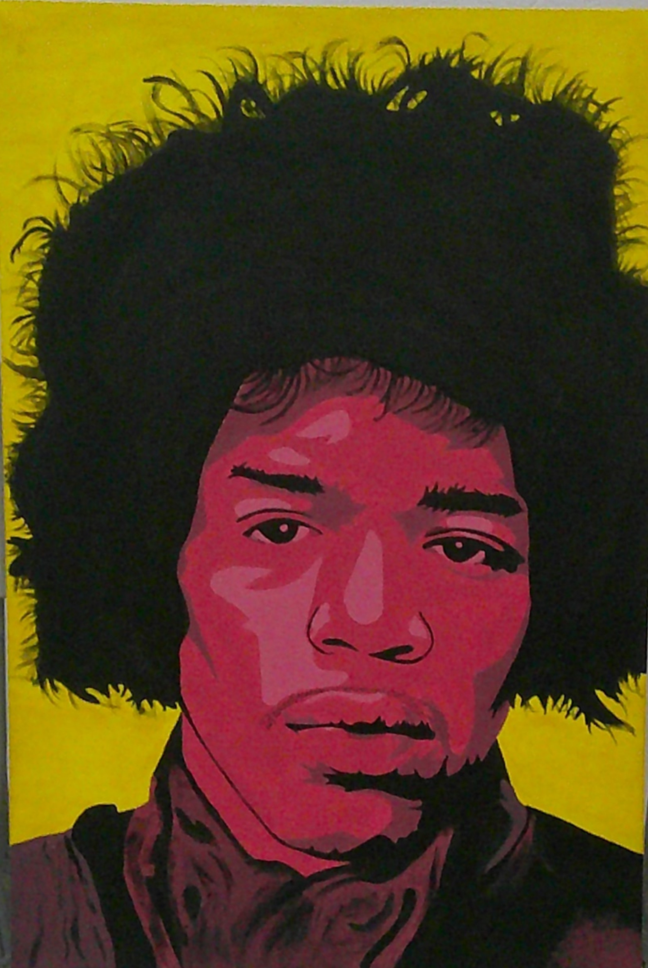 Another Great Year for Novus at the Koestler Awards 2024