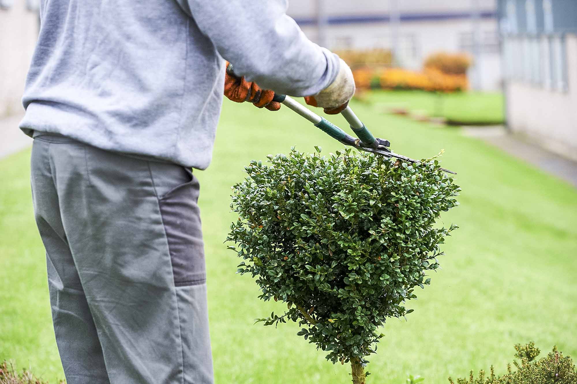 Digital Gardening Education at HMP Buckley Hall