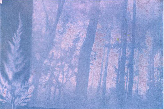 Innovative Photography Project With Open Eye Gallery | Novus