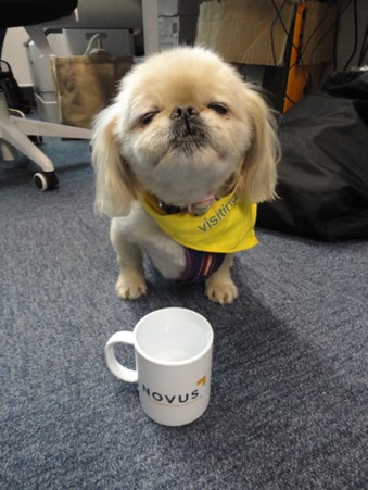 Therapy Dog at HMP Five Wells to Boost Learning & Wellbeing